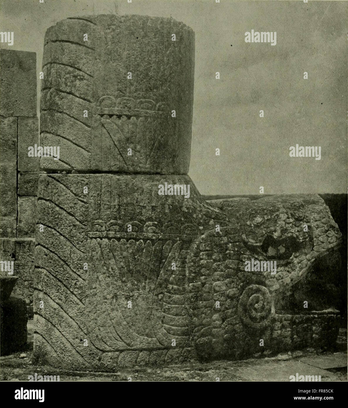 The American Museum Journal, published from around 1900 to 1918 ...