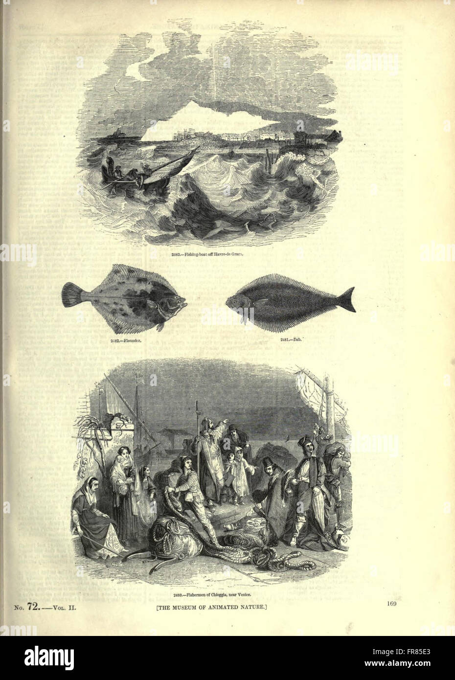 The Pictorial Museum of Animated Nature (Page 169) is an illustrated ...