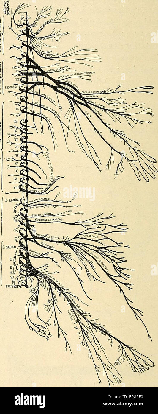A 1907 medical guide exploring electro-therapy through a question-and ...