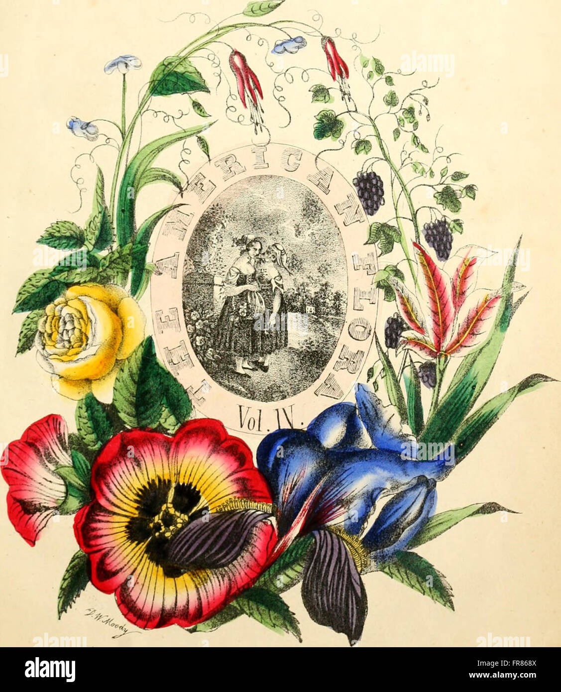The American flora - or history of plants and wild flowers - containing ...