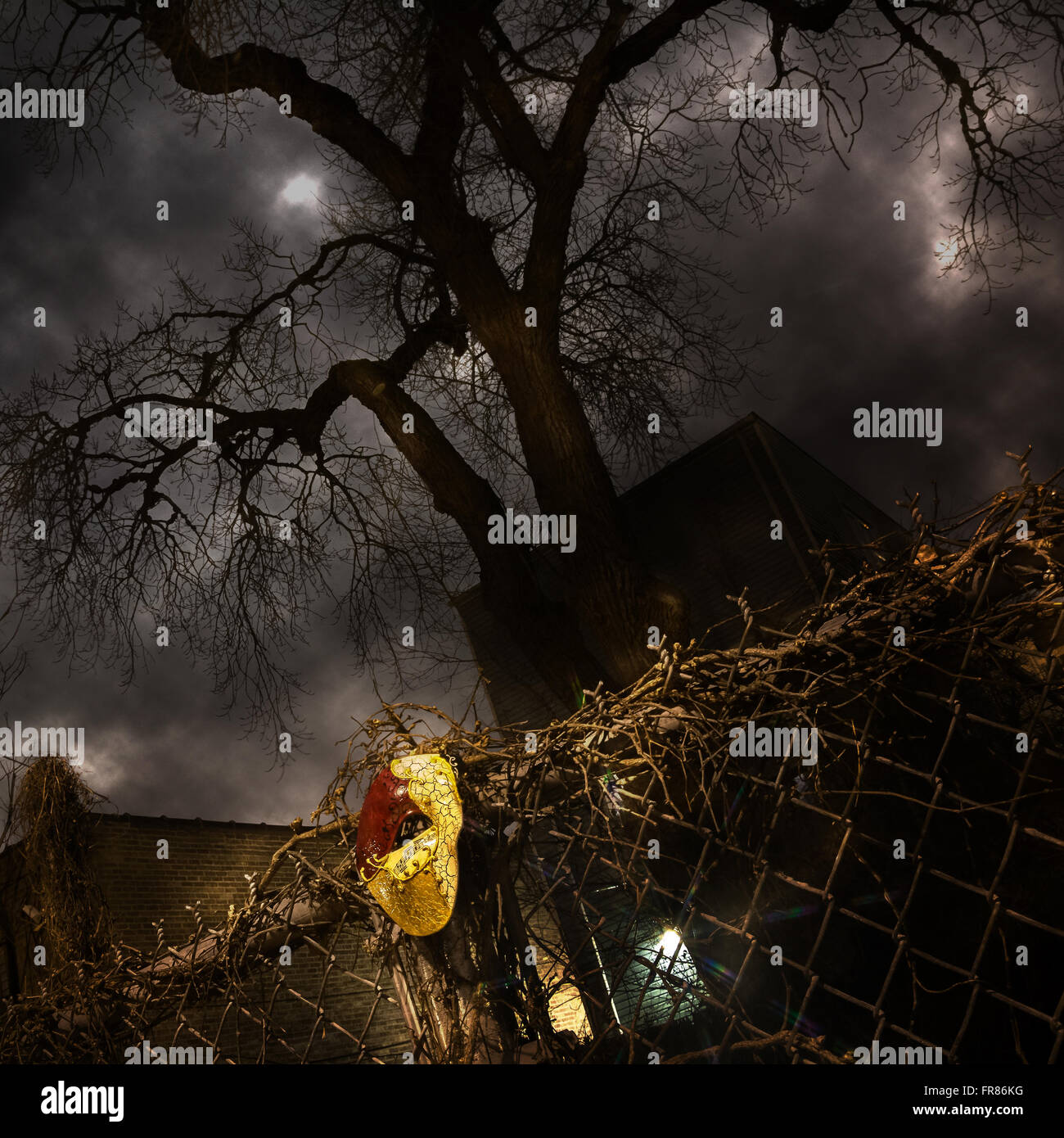 Masquerade - Venetian Mask on Fence with Dramatic Tree and Sky Stock ...