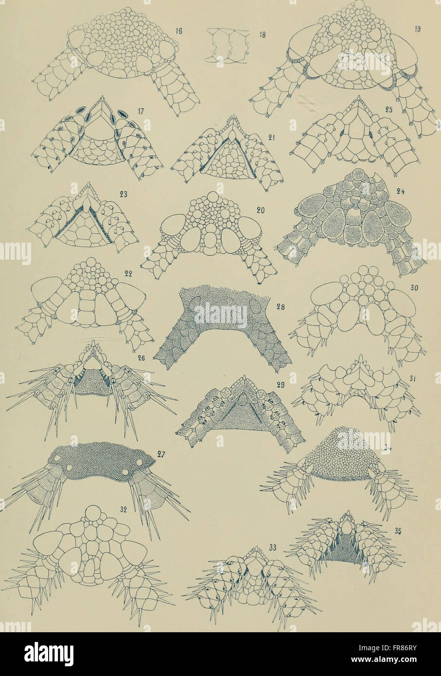 A 1897 scientific journal focusing on natural sciences, including ...