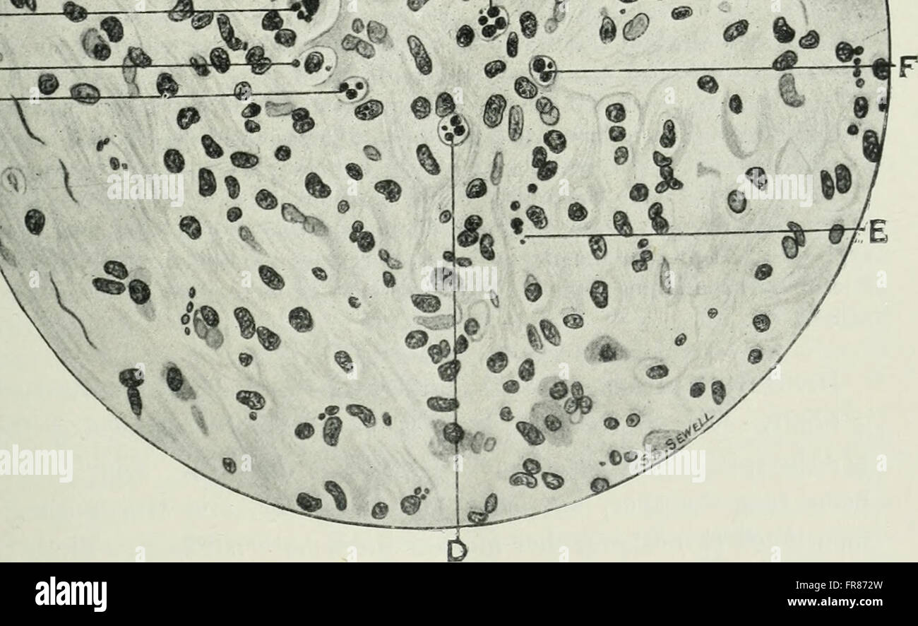 The British Journal of Dermatology (1888) publishes studies and ...