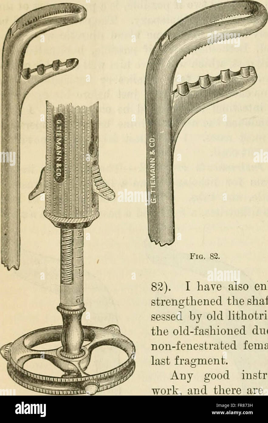 Genito urinary organs hi-res stock photography and images - Alamy