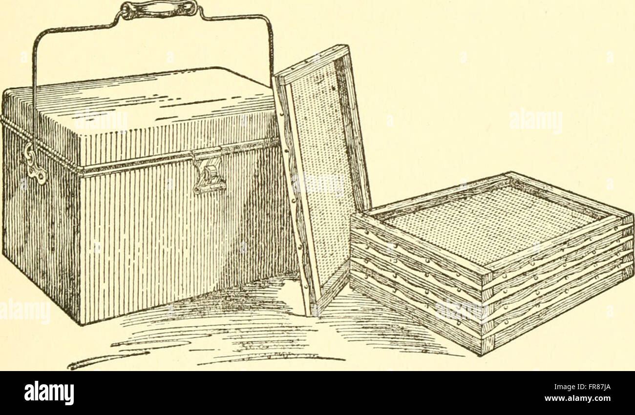 ‘The Complete Aquarium Book’ (1936) provides comprehensive guidance on ...