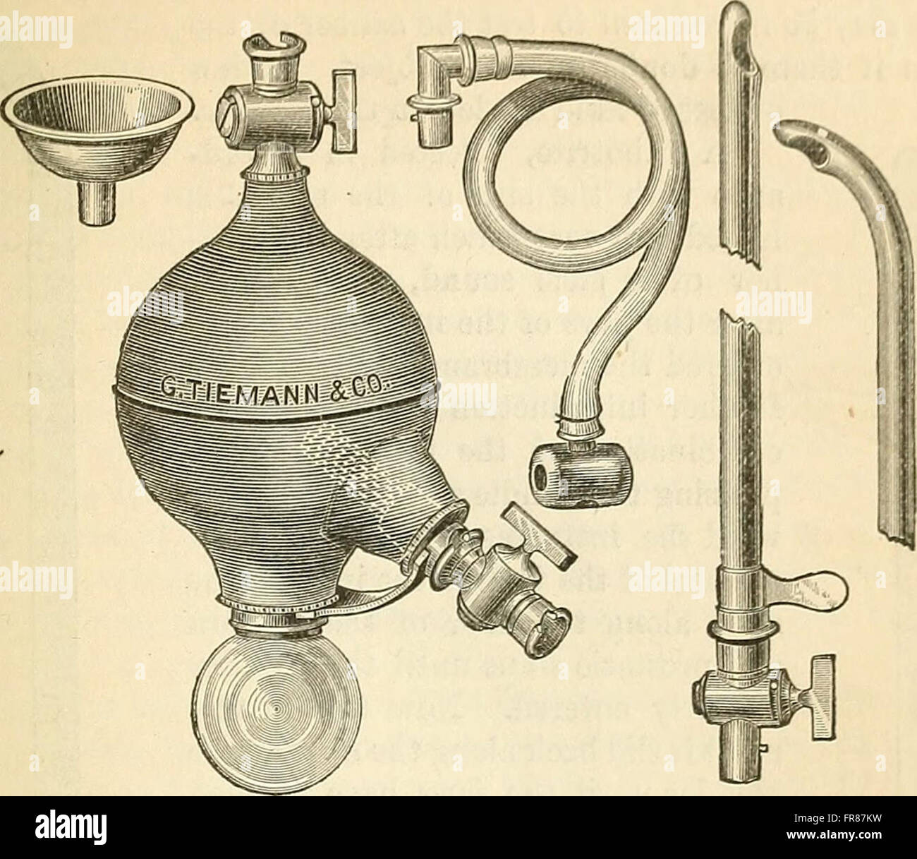 Genito urinary organs hi-res stock photography and images - Alamy