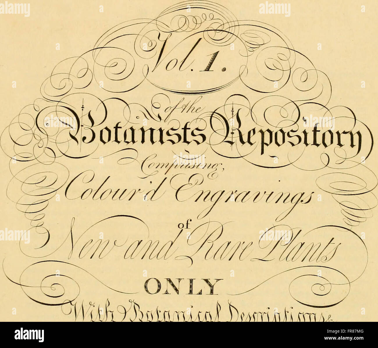 This botanical work features detailed illustrations of rare and new ...