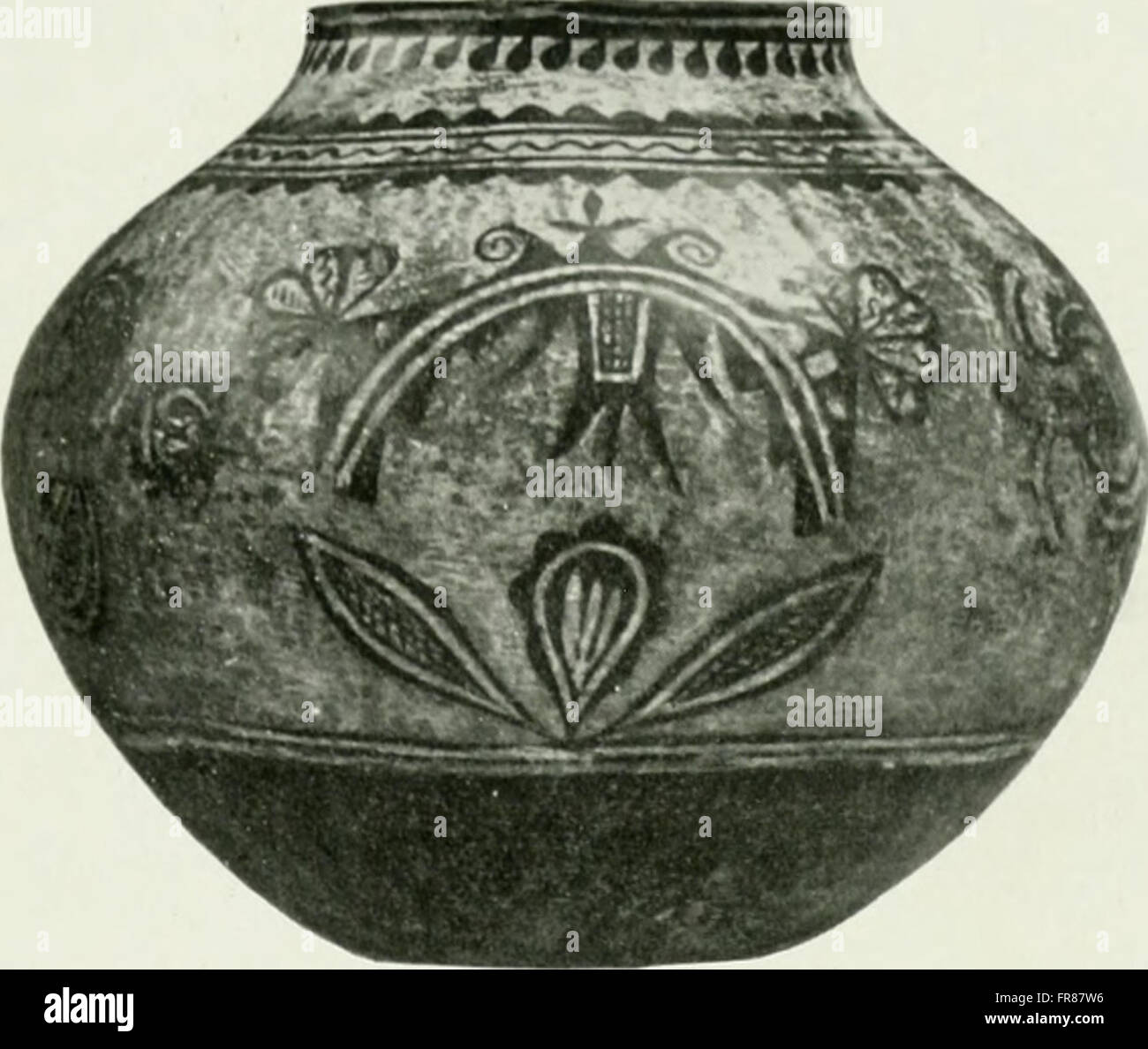 The 'American Museum Journal,' published between 1900 and 1918, includes scientific articles and ...