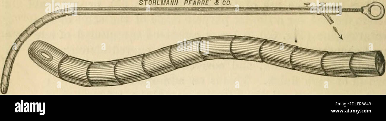 Genito urinary organs hi-res stock photography and images - Alamy