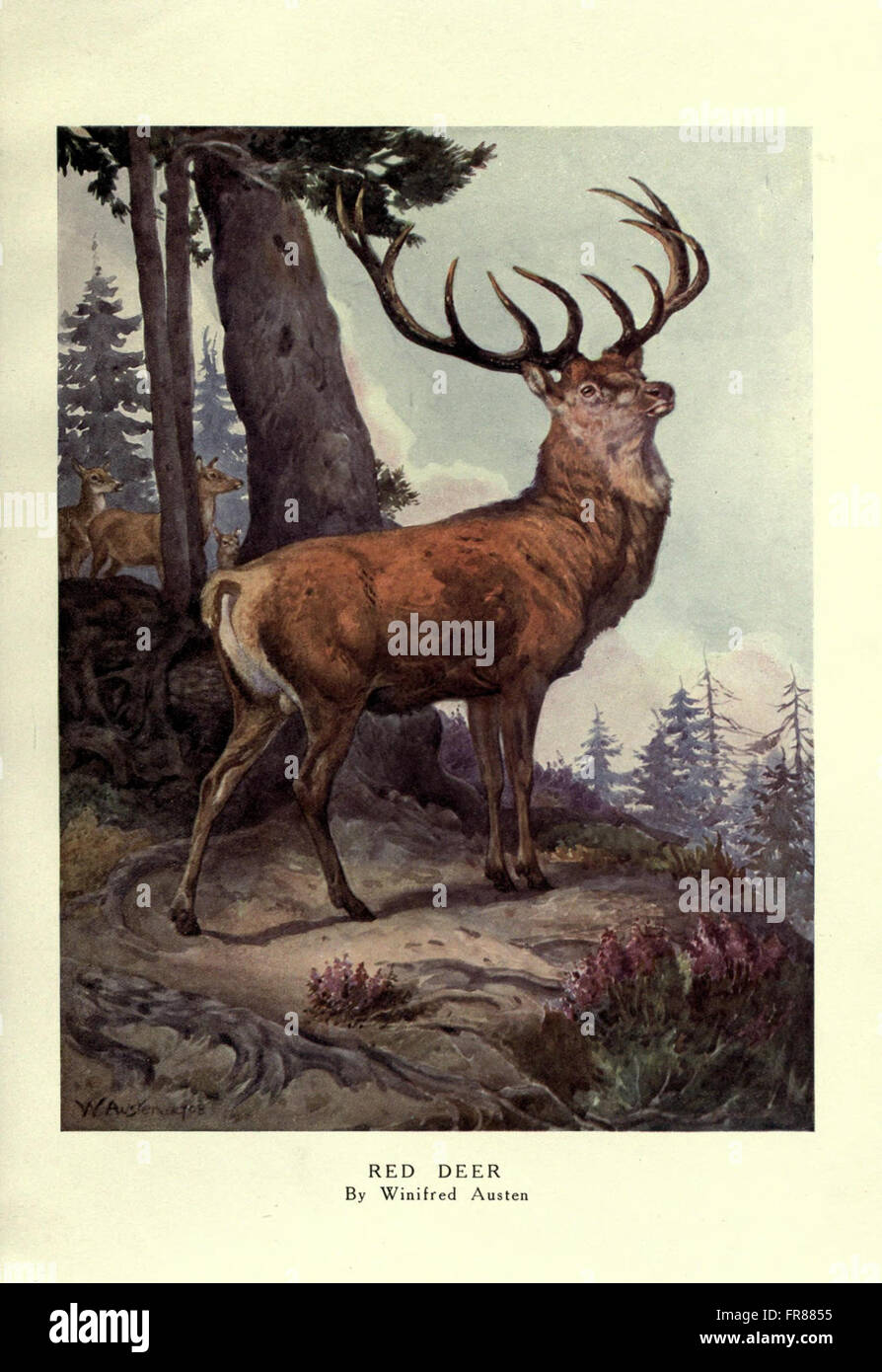 This publication features illustrations and descriptions of various ...