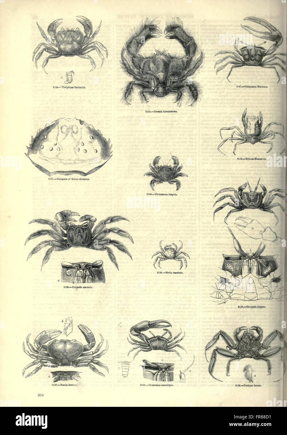 This illustrated work provides visual representations of various ...