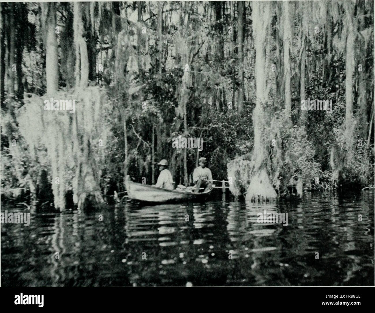 A journal published by the American Museum covering a wide range of ...