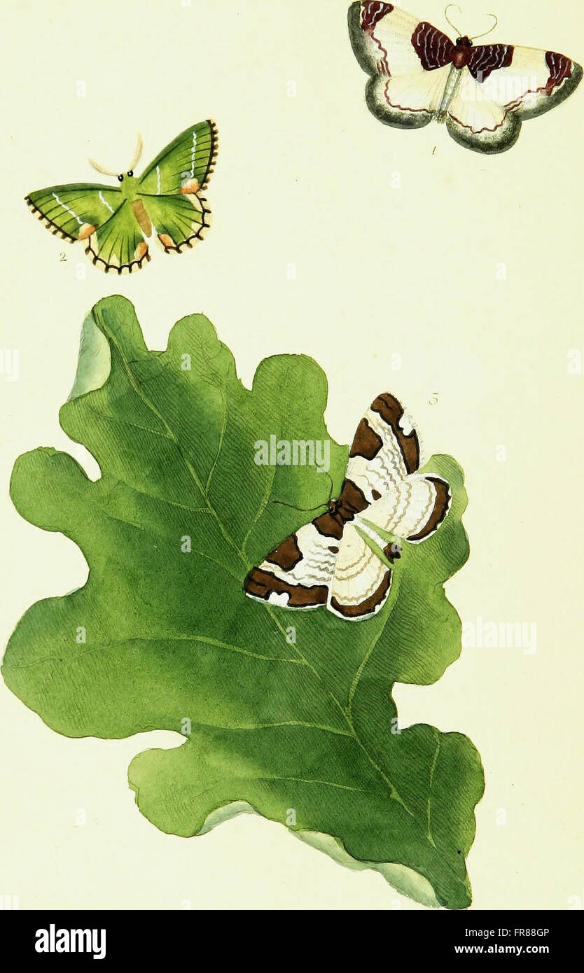 This work explores the lifecycle, transformation, and behavior of ...