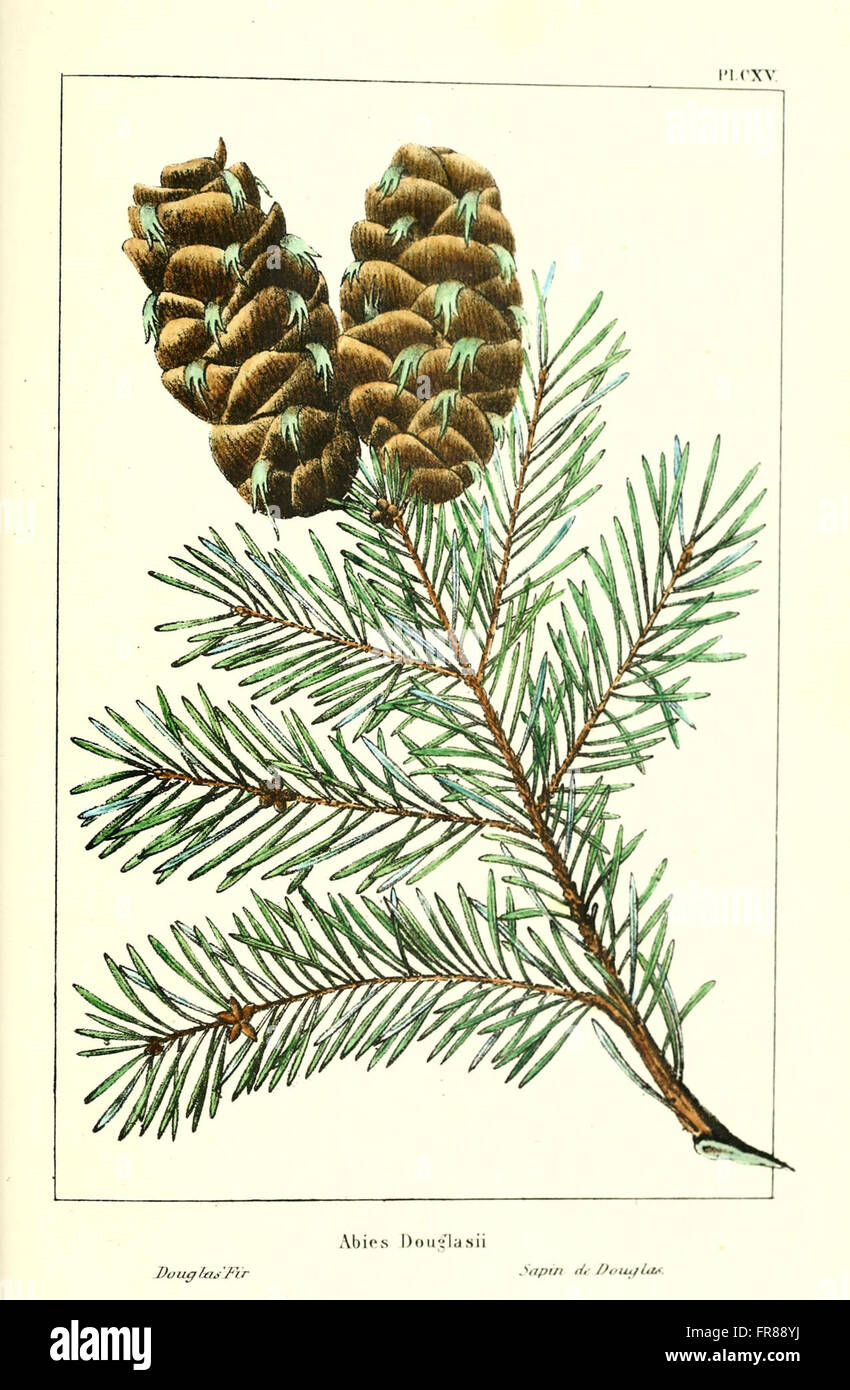 Cxv font hi-res stock photography and images - Alamy