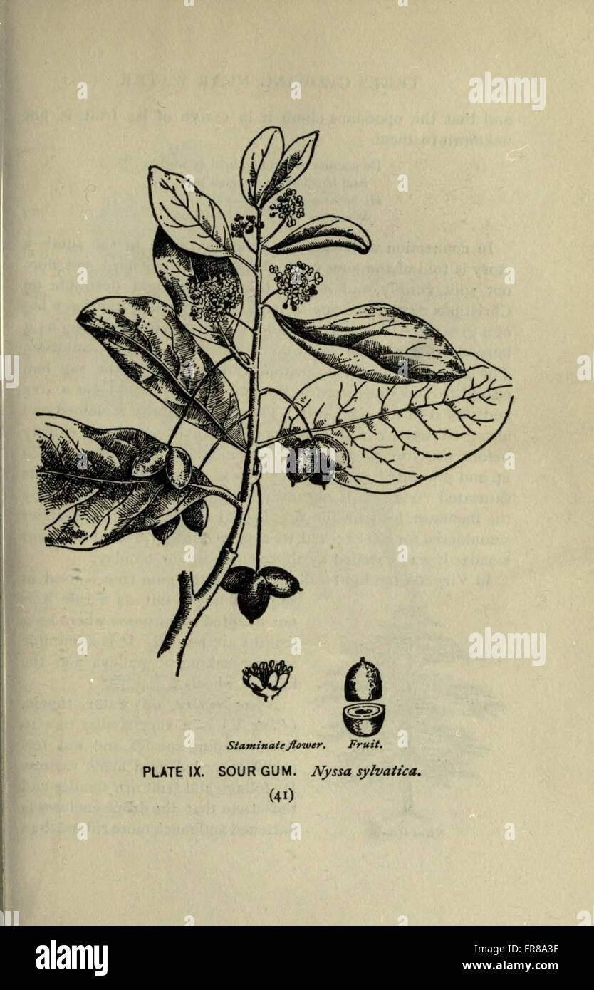 This guide provides information on identifying and understanding ...