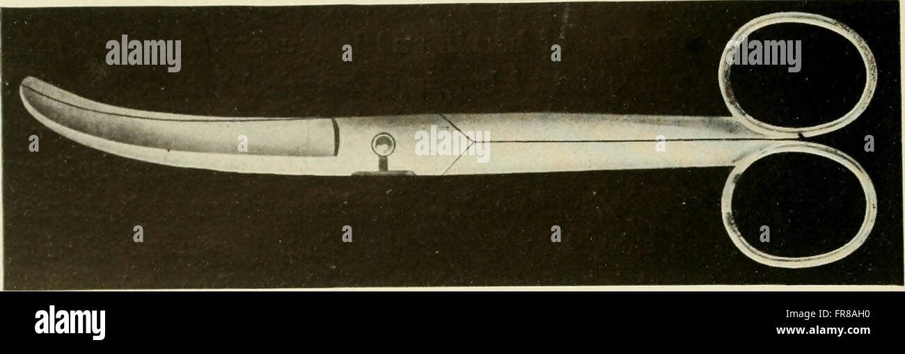 A 1914 guide to animal castration, providing detailed instructions for ...