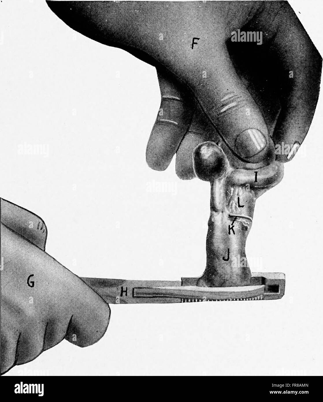 A 1914 manual on animal castration, including step-by-step instructions ...