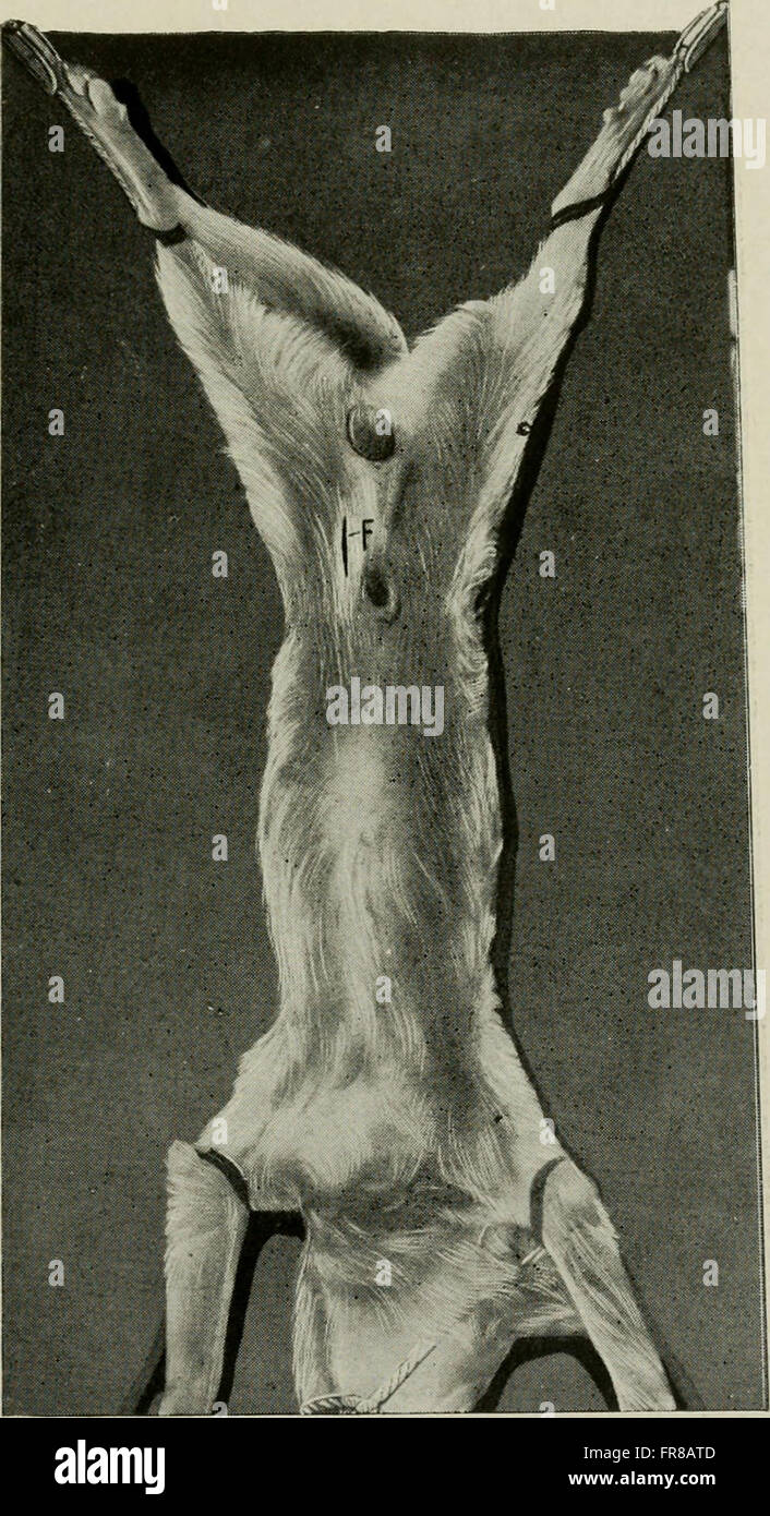 'Animal Castration' (1920) provides practical guidance on the ...