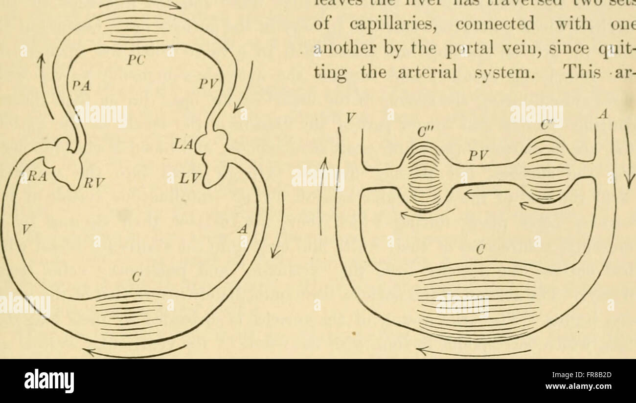 This 1897 textbook provides a comprehensive study of human physiology ...
