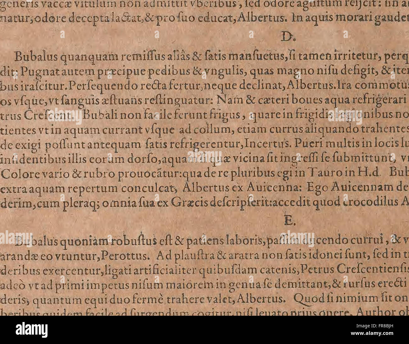 A 16th-century work by Conrad Gesner detailing the biology and ...