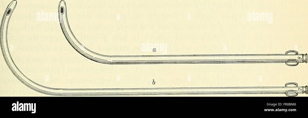 An American text-book of genito-urinary diseases, syphilis and diseases ...