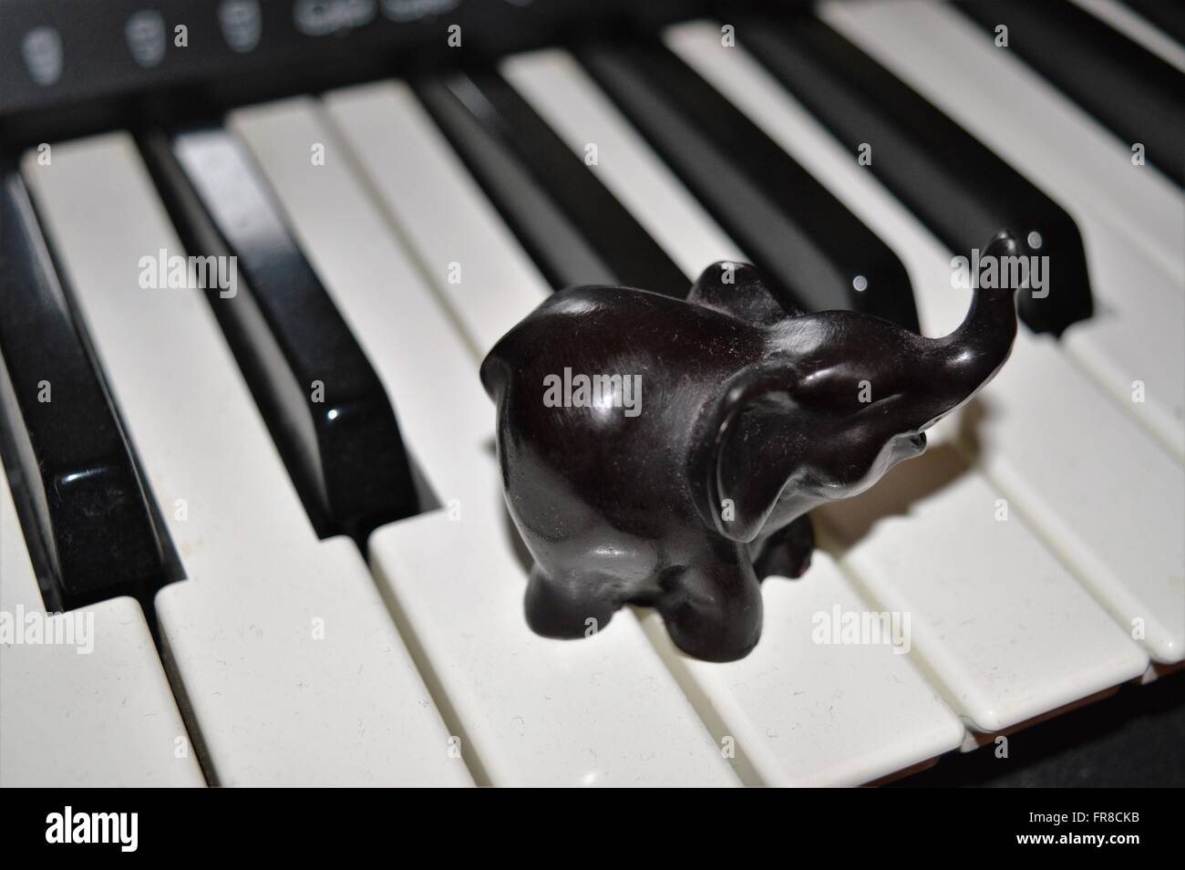Elephant on Keyboard Stock Photo - Alamy