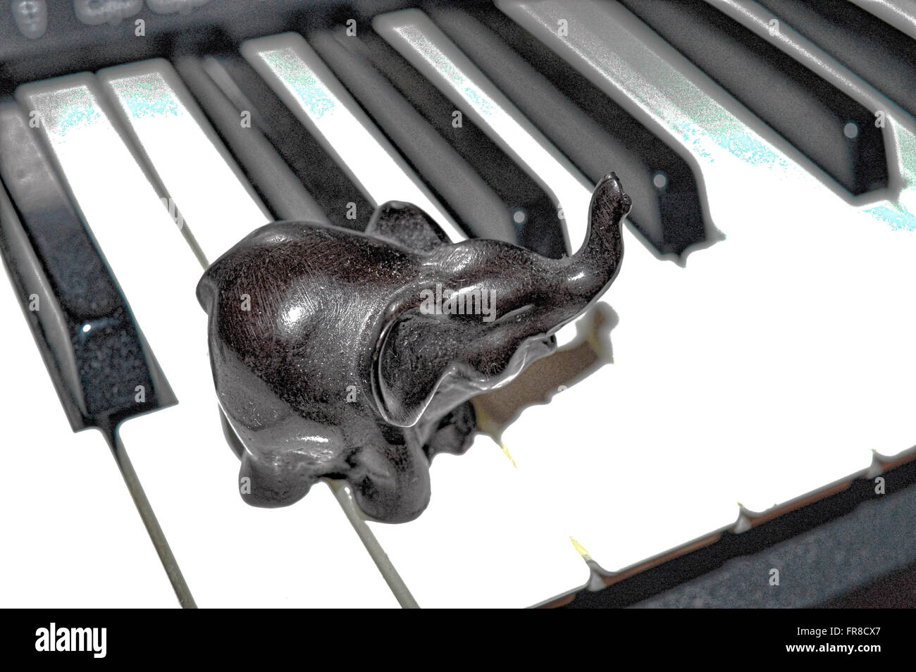 Elephant on Keyboard Stock Photo - Alamy