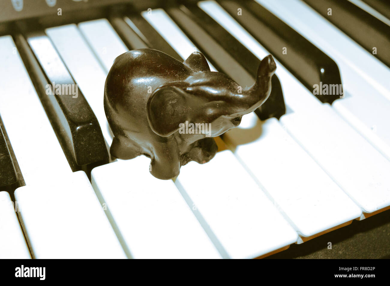 Elephant on Keyboard Stock Photo - Alamy