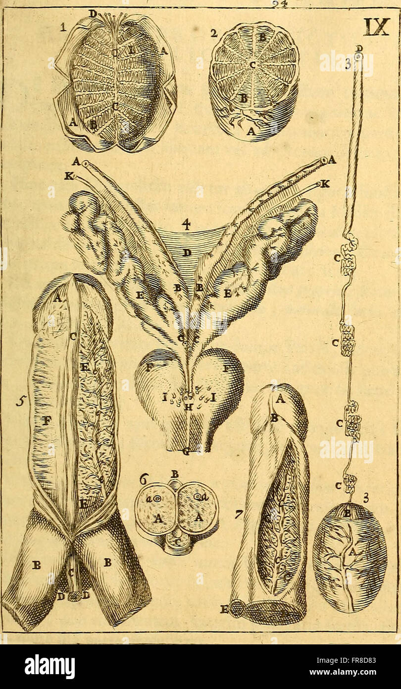 A 1693 anatomical work detailing the human body, incorporating both ...
