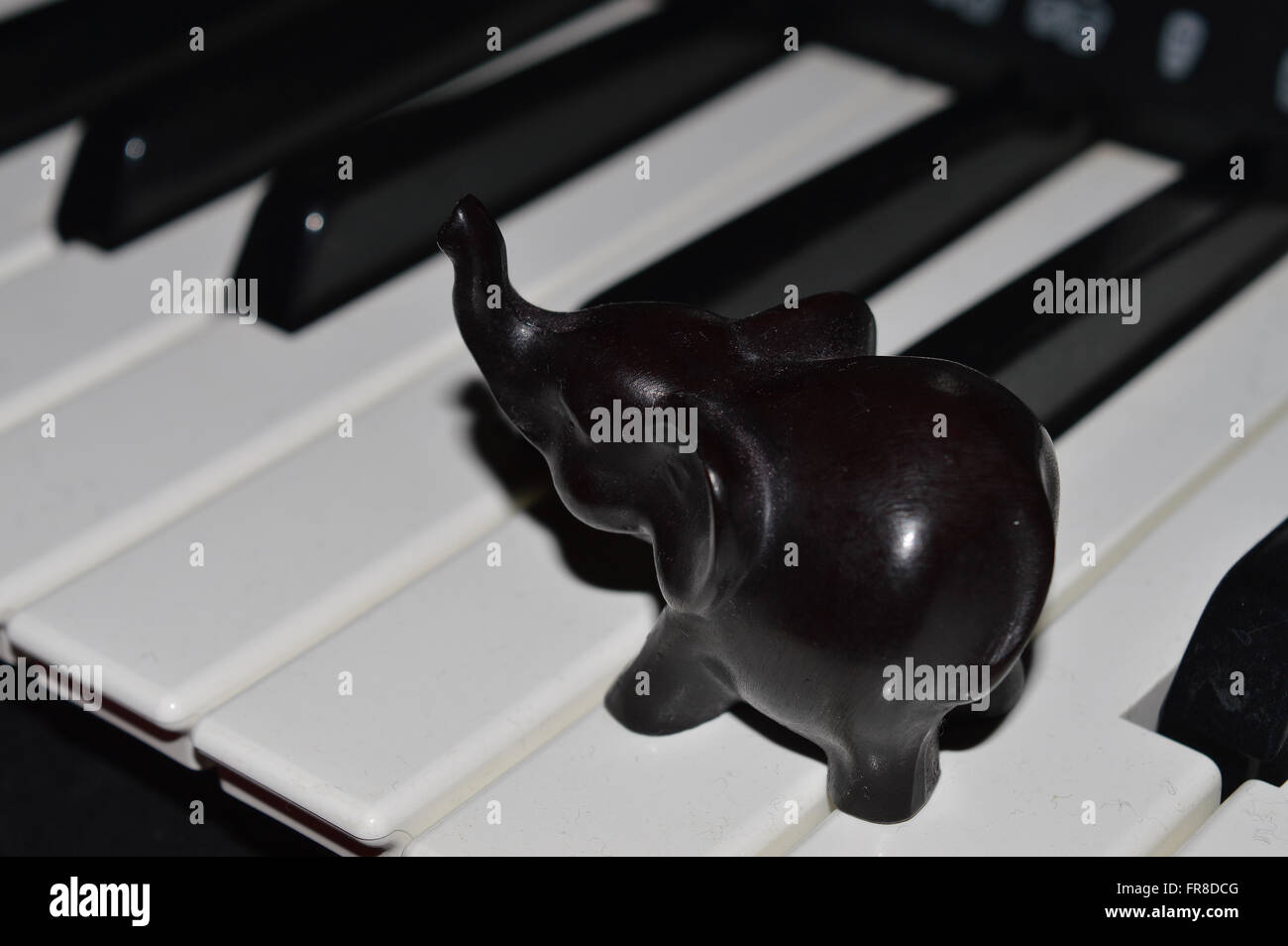 Elephant on Keyboard Stock Photo - Alamy