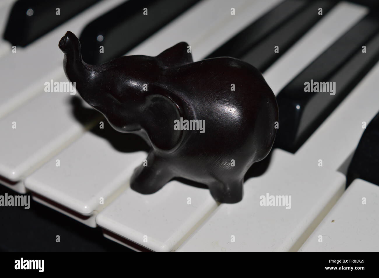 Elephant on Keyboard Stock Photo - Alamy