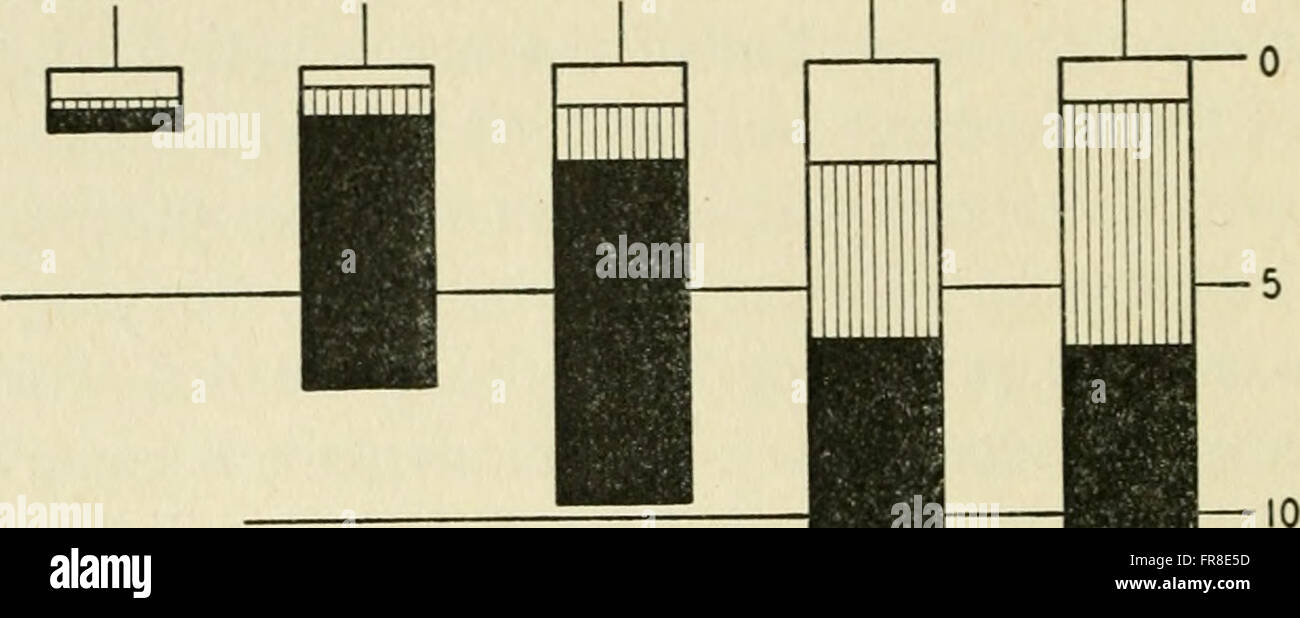 'The Bell Telephone Magazine' (1922) explores innovations in ...