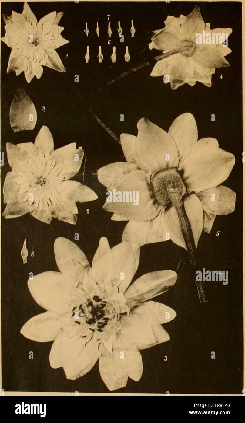 A scientific journal from 1897-1898 focusing on the fauna and flora of Finland. It includes ...