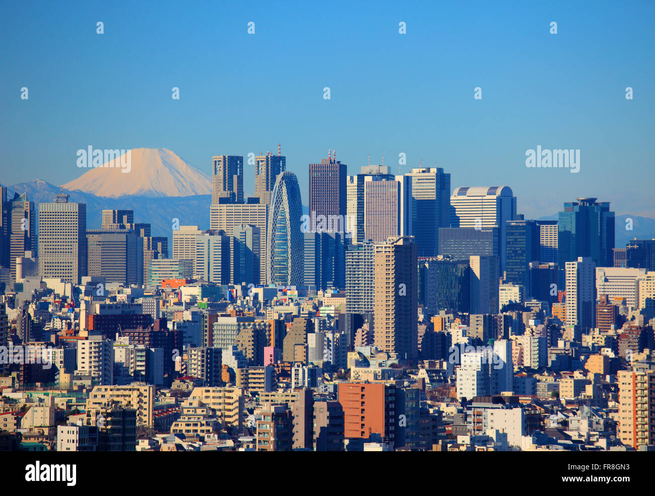 Japan, Tokyo, Shinjuku, skyline, Mount Fuji, panorama Stock Photo - Alamy