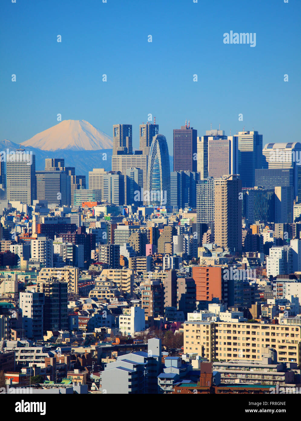Japan, Tokyo, Shinjuku, skyline, Mount Fuji, panorama Stock Photo - Alamy