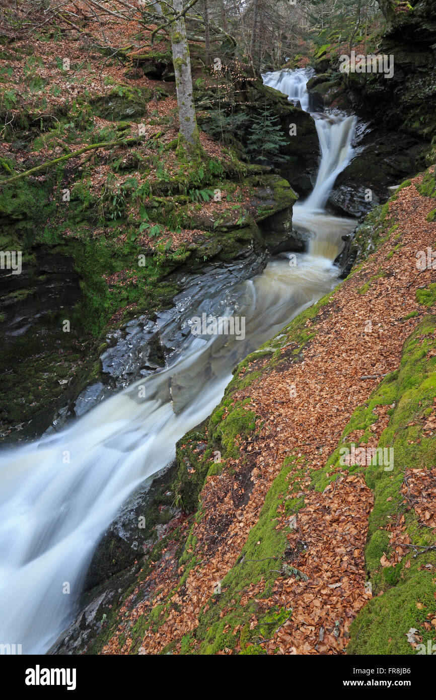 View of the Falls of Acharn taken in March Stock Photo - Alamy