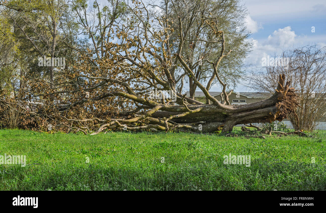 Toppled over hi-res stock photography and images - Alamy