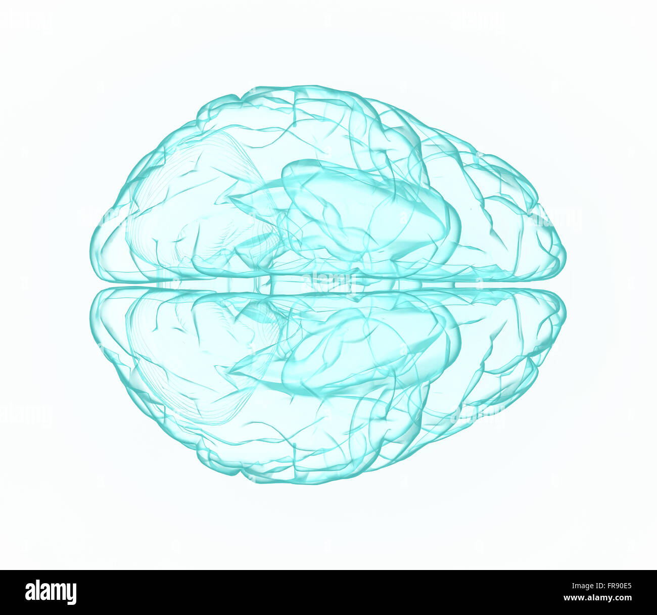 X-ray human brain in blue with clipping path Stock Photo - Alamy