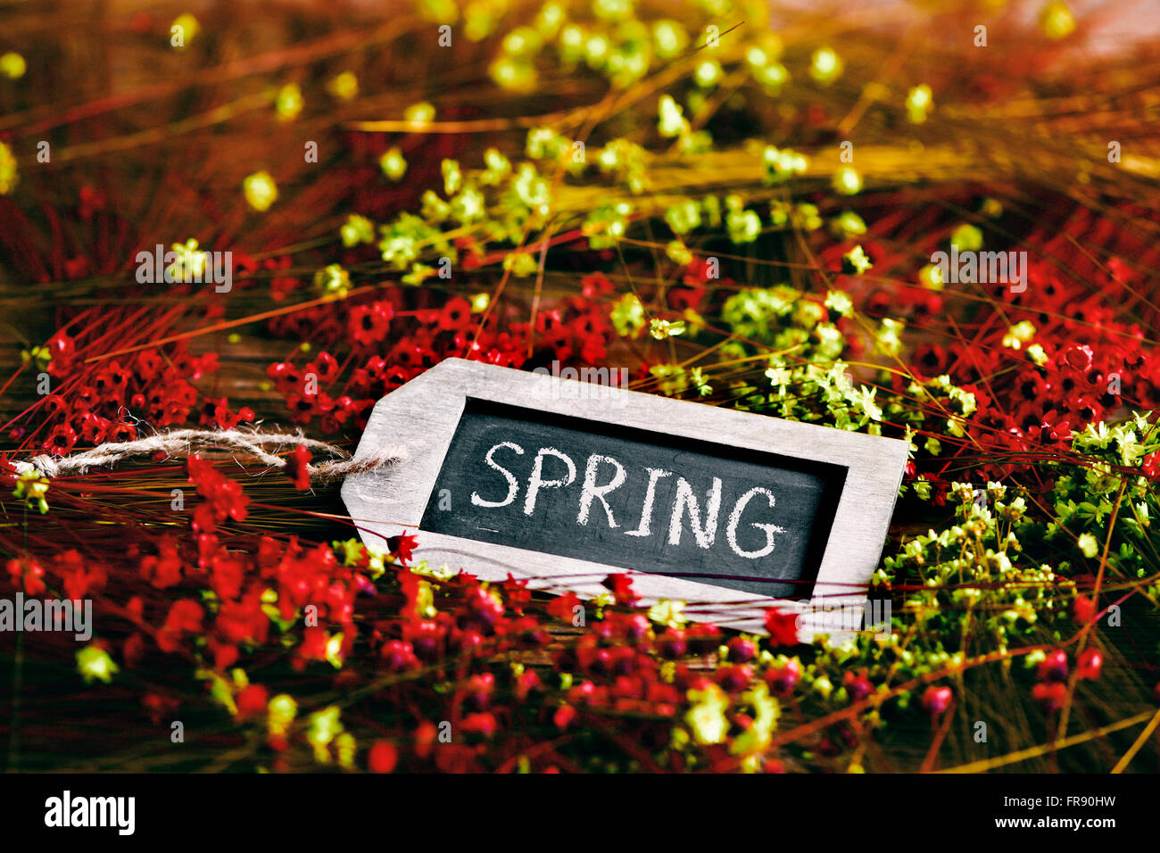 the word spring written in a label-shaped blackboard surrounded by many ...