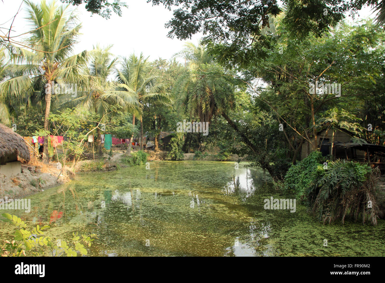 India forest village hi-res stock photography and images - Alamy