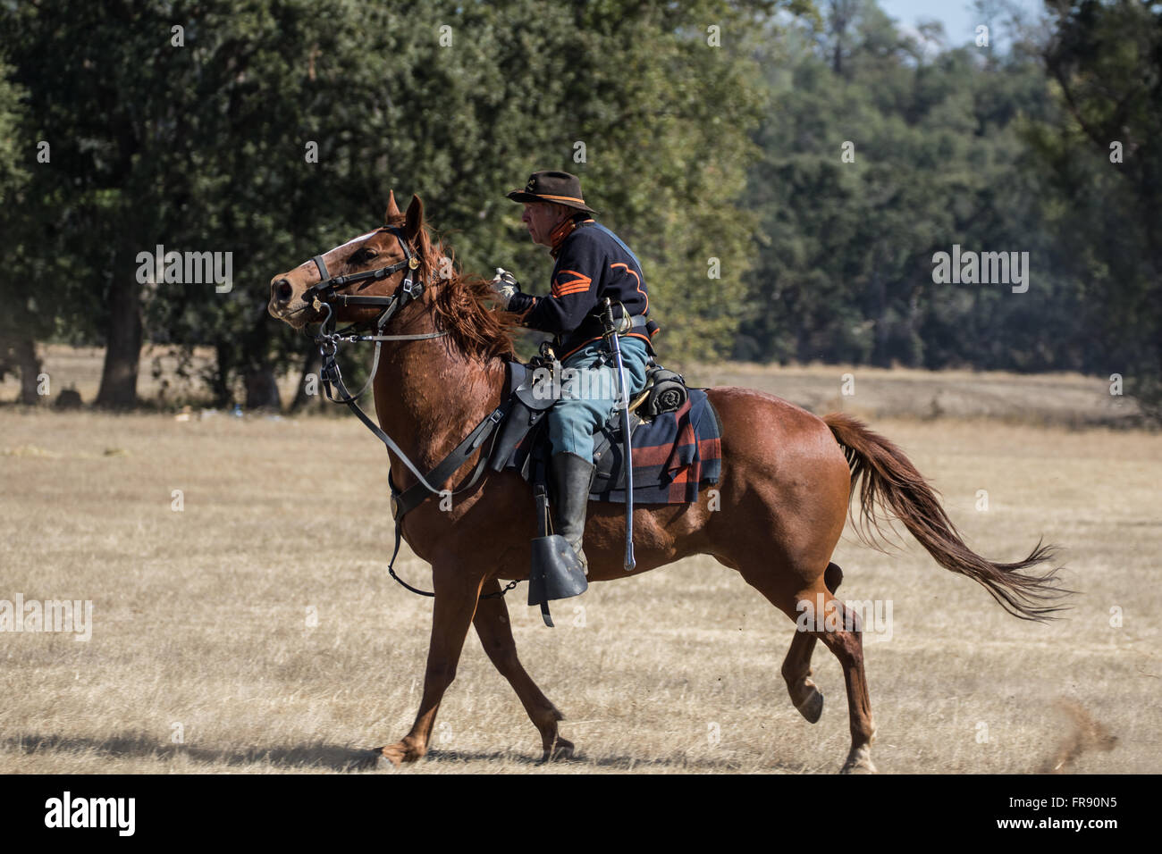 Cavalry Scouts in Action at the Hawes Farm Civil War Reenactment in ...