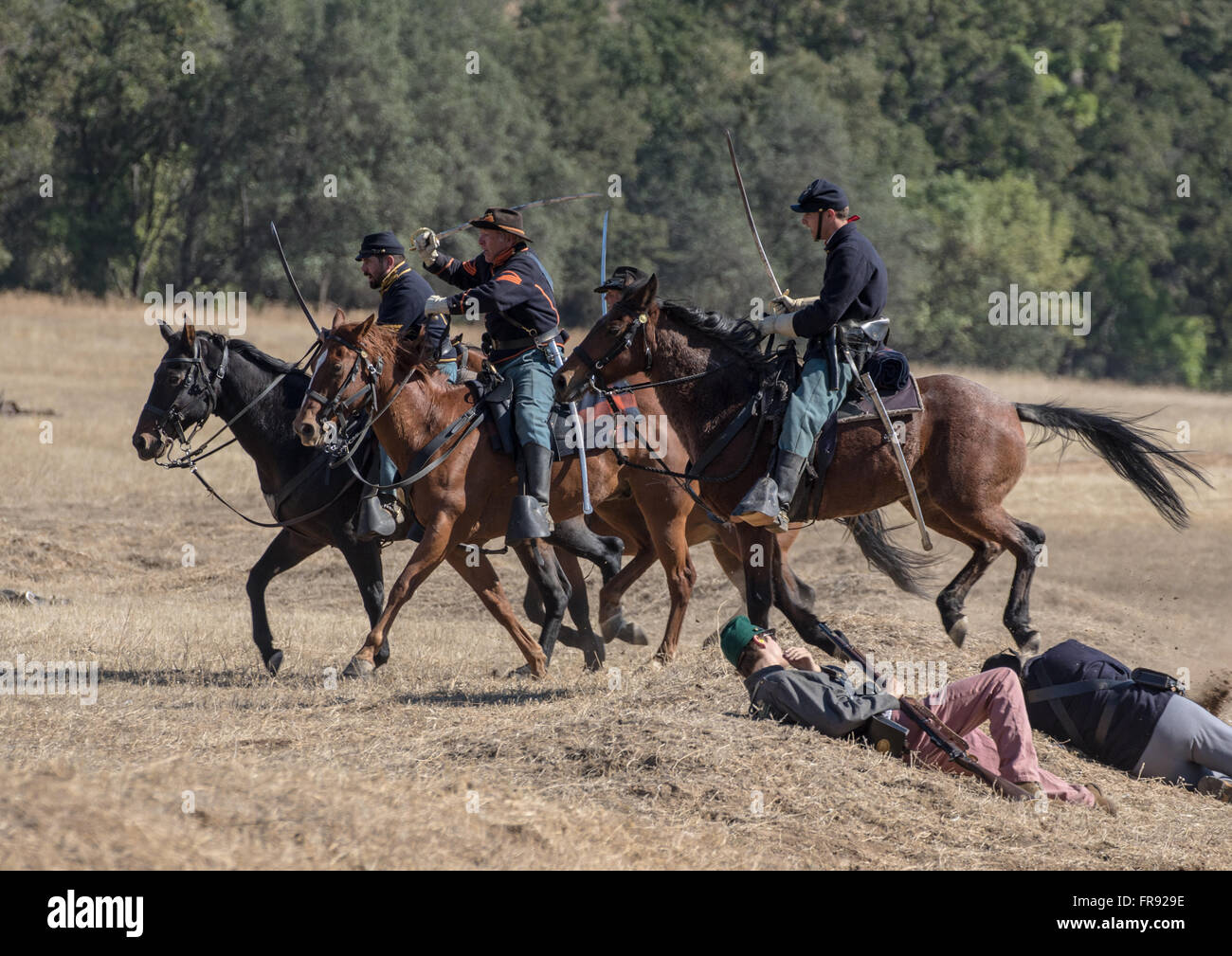 Cavalry Scouts in Action at the Hawes Farm Civil War Reenactment in ...