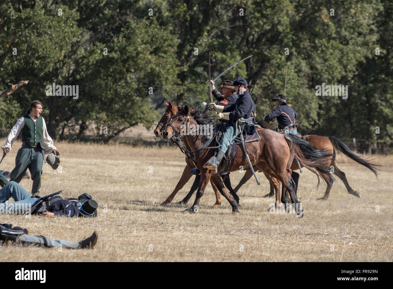 Cavalry Scouts in Action at the Hawes Farm Civil War Reenactment in ...