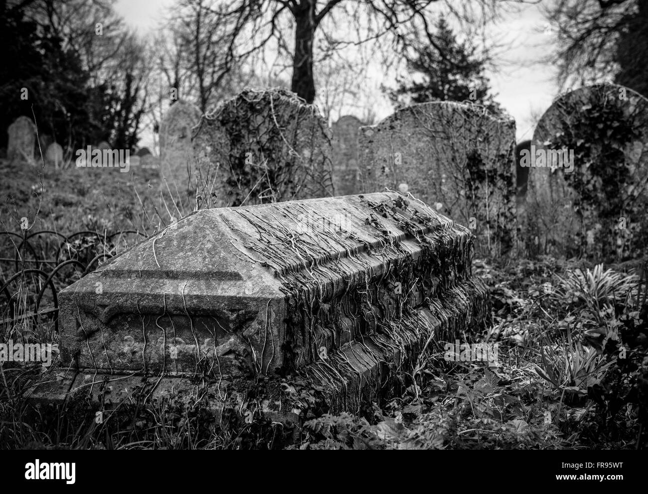 Graves and tombs seen in a famous English cemetery Stock Photo - Alamy