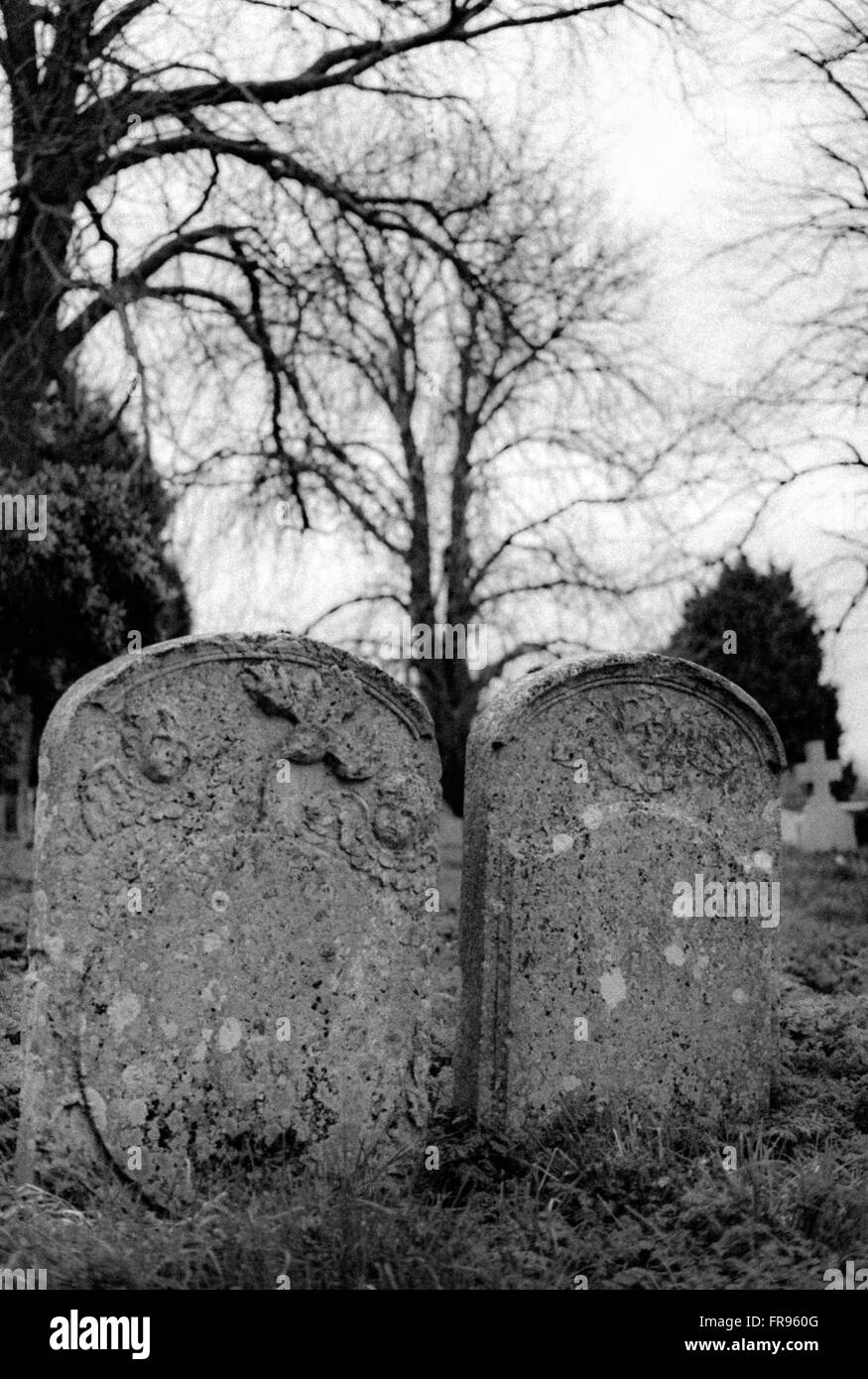 Graves and tombs seen in a famous English cemetery Stock Photo - Alamy