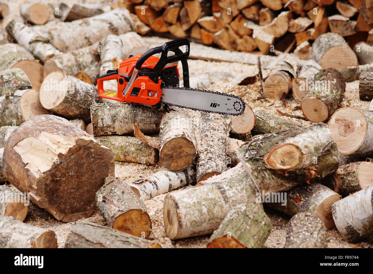 Chainsaw to a tree Stock Photo - Alamy