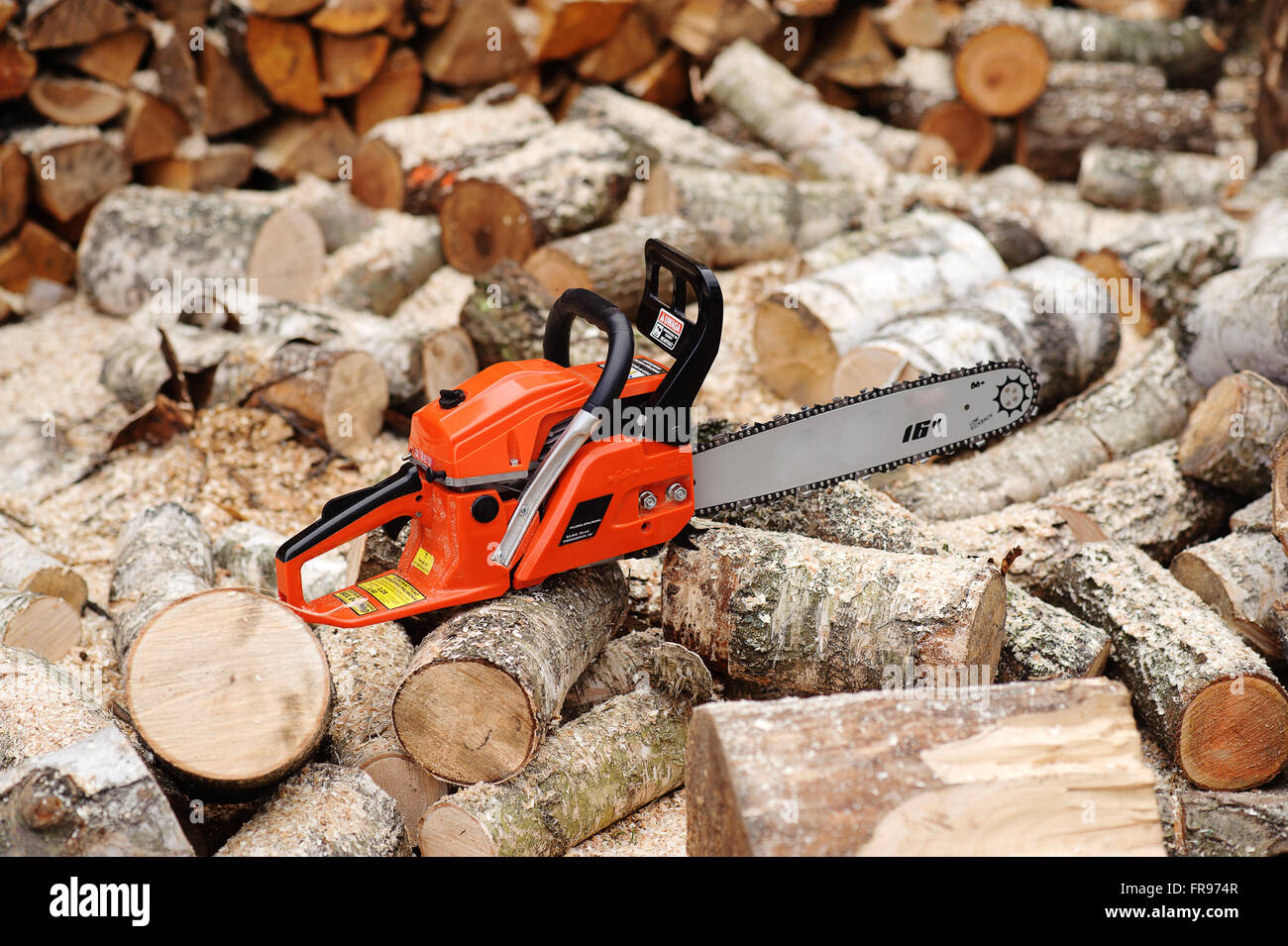 Chainsaw to a tree Stock Photo - Alamy