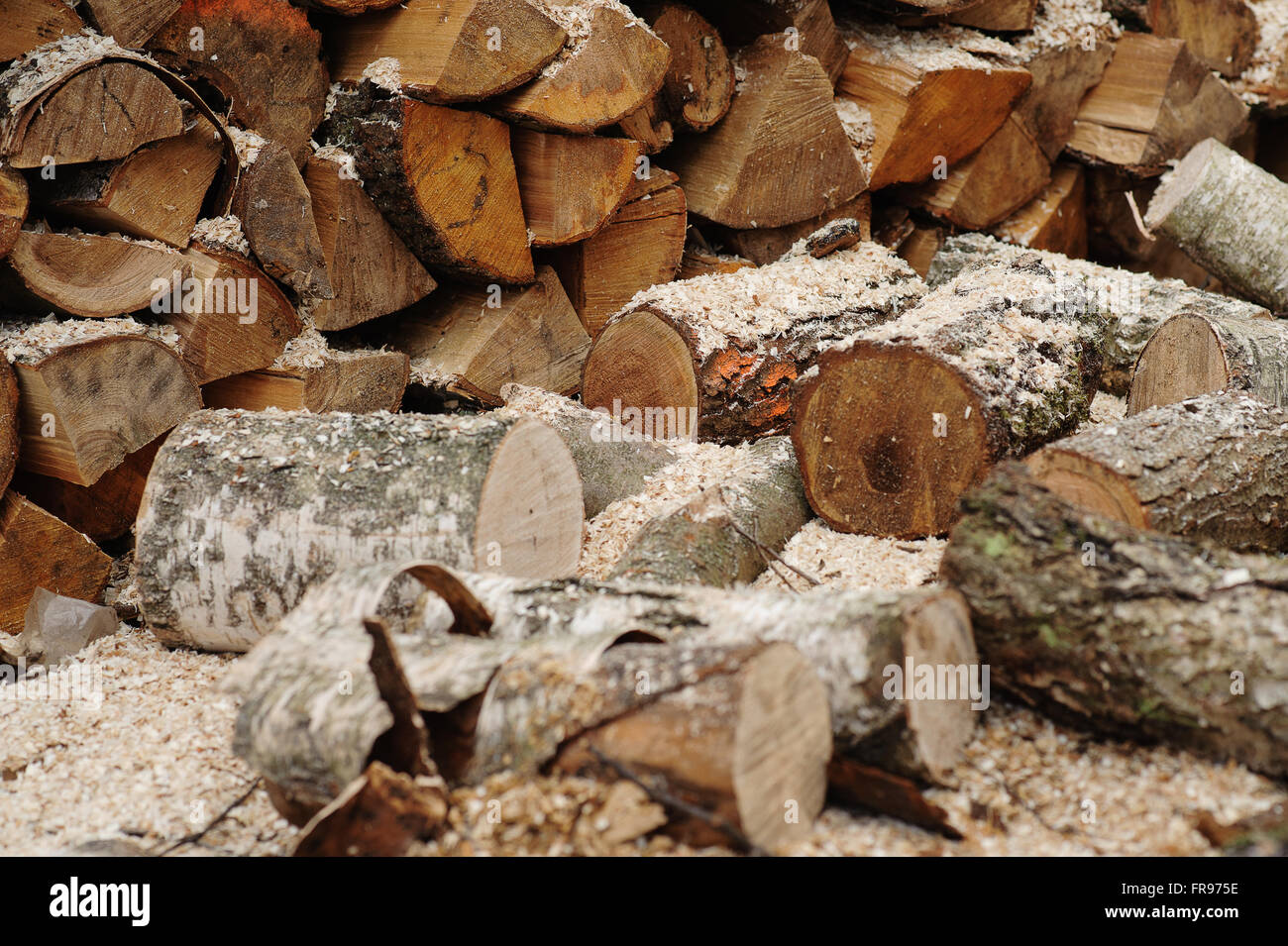 Remove tree stump hi-res stock photography and images - Alamy