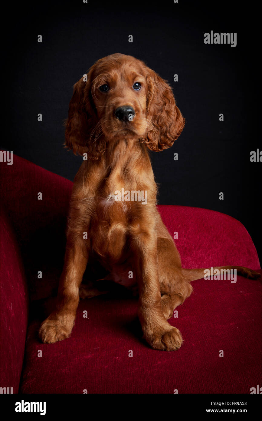 Best baby pictures hi-res stock photography and images - Alamy