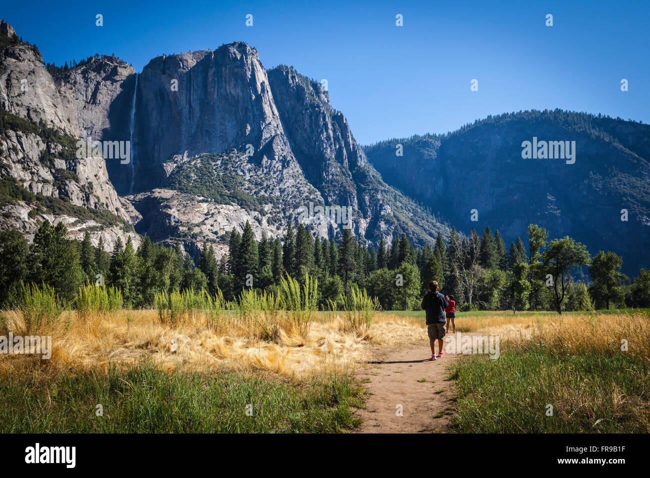 colorful valley in Yosemite National Park Stock Photo - Alamy